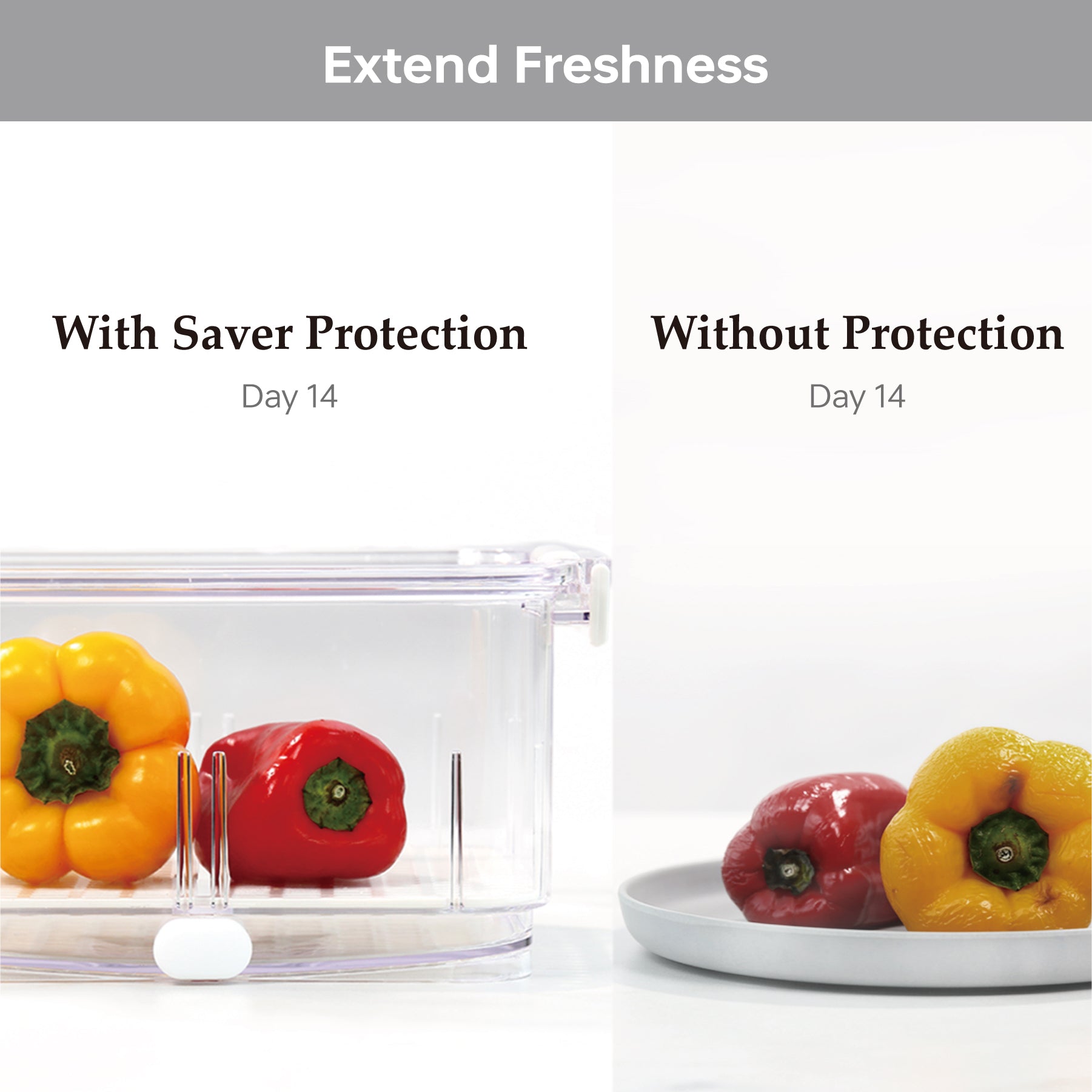 Felli Fresh Longer Produce Saver - Vegetable Container - Large 5.0qt / 4.8L