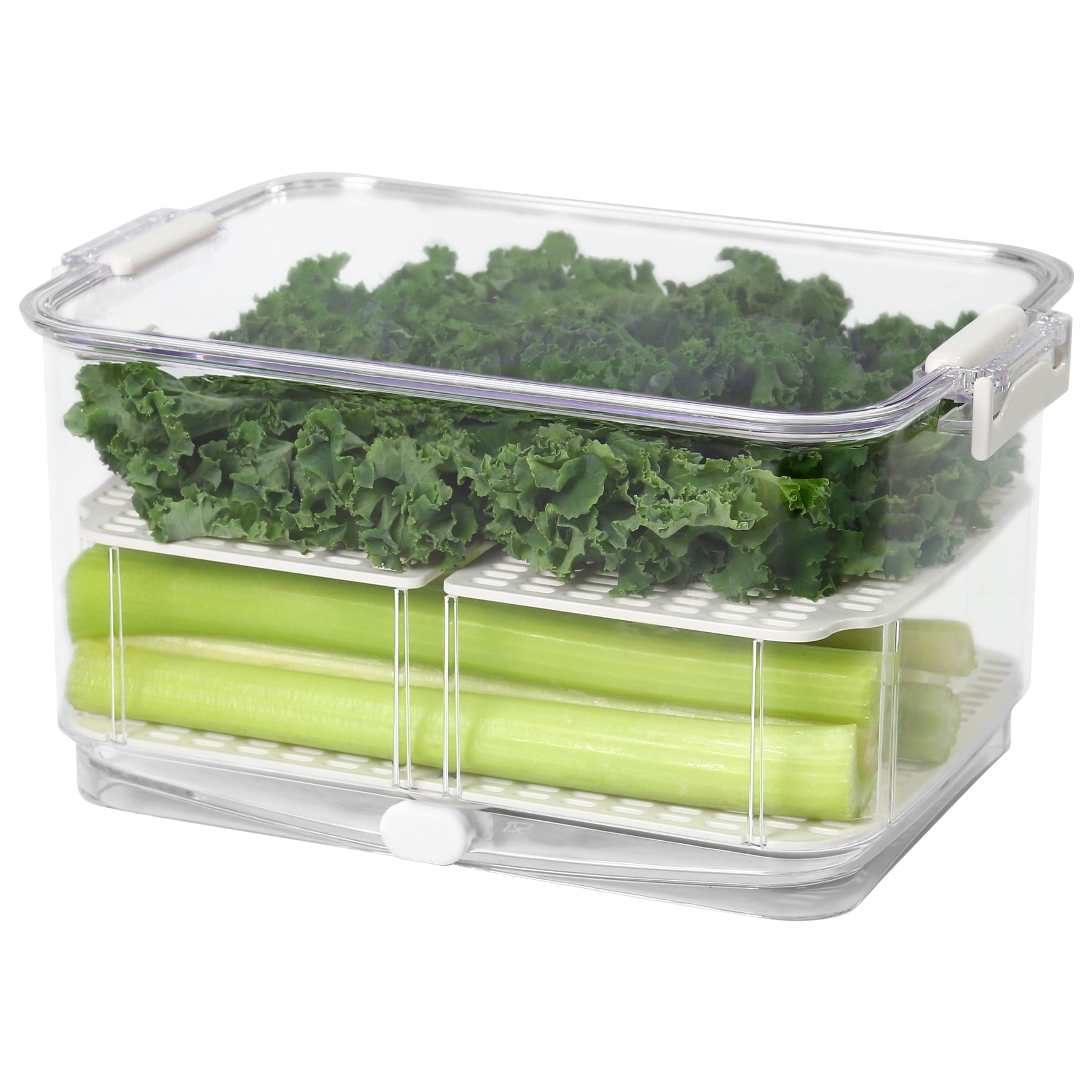 Felli Fresh Longer Produce Saver - Vegetable Container - Large 5.0qt / 4.8L