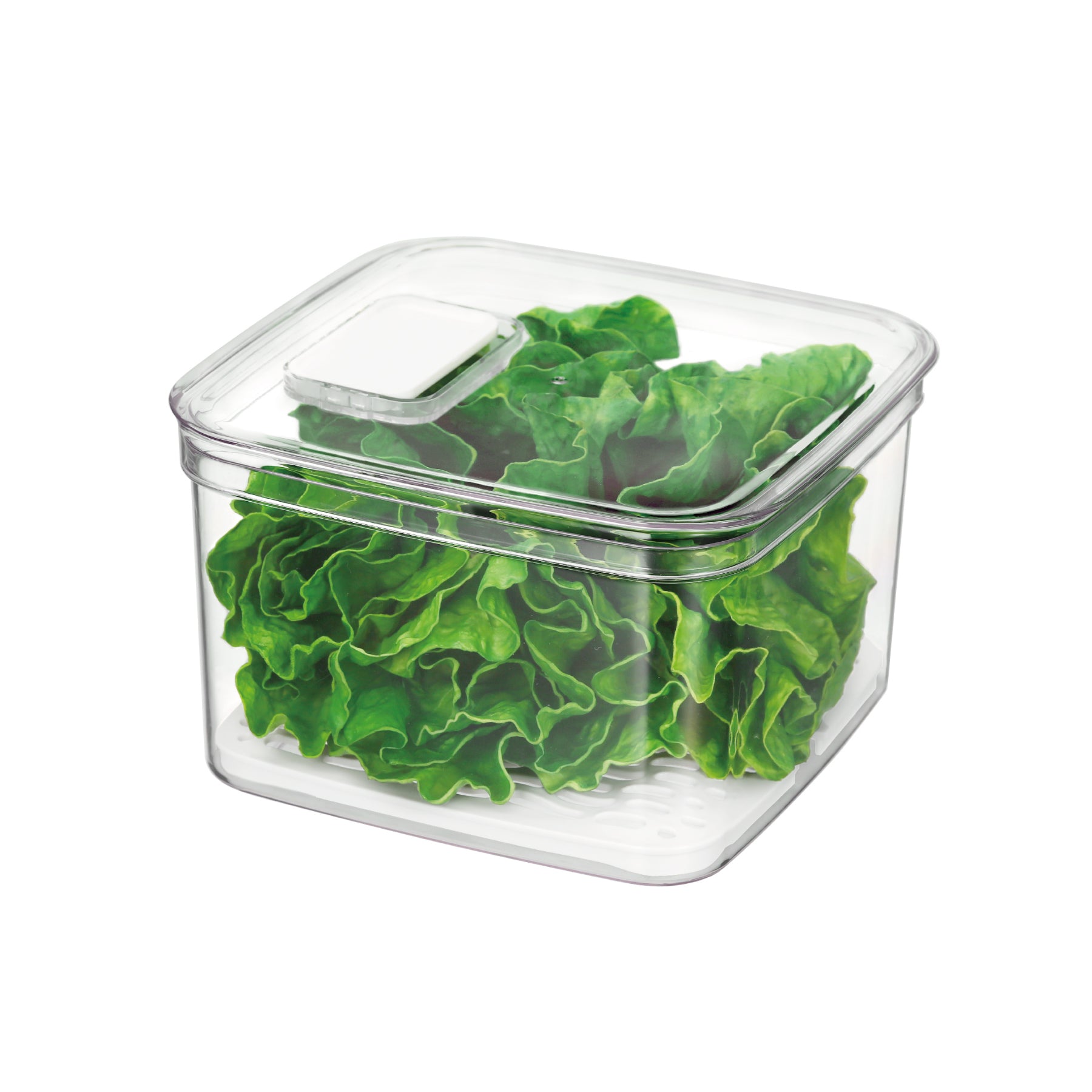 Felli Fresh Longer Veggie Keeper - Medium 5.0qt / 4.8L
