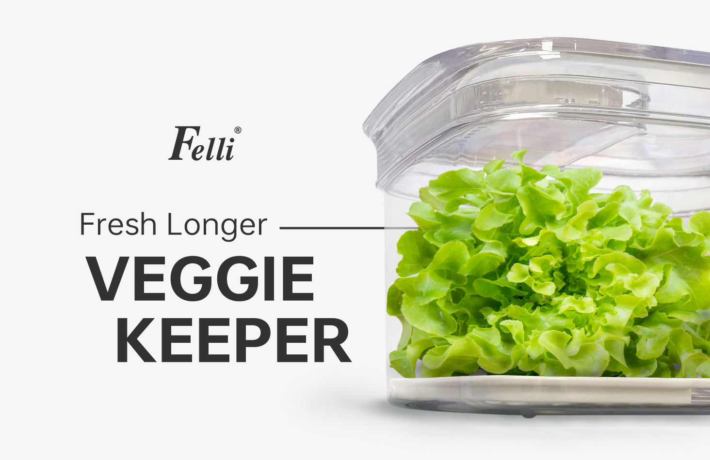Felli Fresh Longer Veggie Keeper for Fridge Organizer - Large 5.8qt / 5.5L