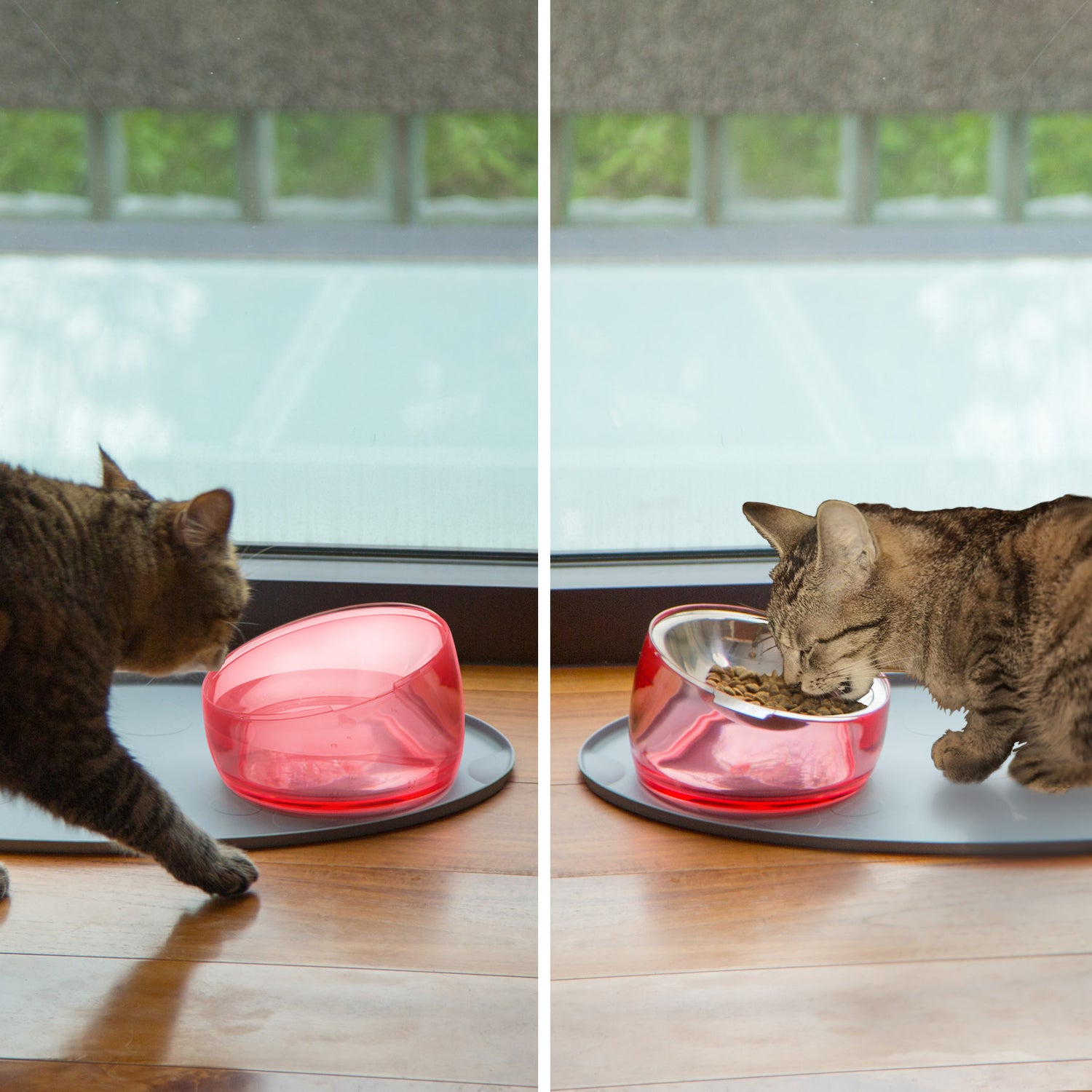 Felli Pet Oblik Shallow Bowl Bundle Set - Extra 0.5 Replacement Dish